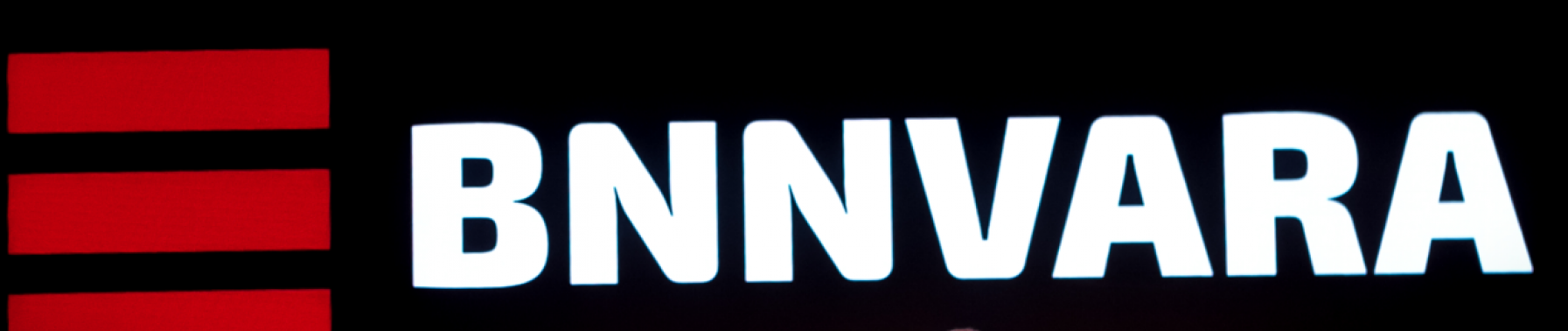 Vara Bnn Logo