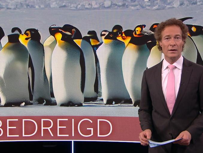 Rob Fruithof overleden - Spreekbuis.nl